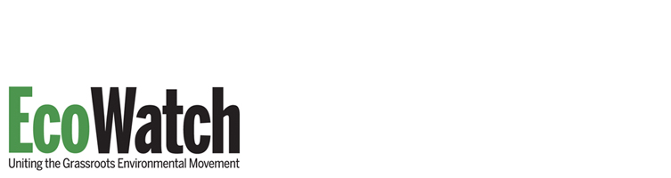 Ecowatch: World’s Biggest Banks Are Driving Climate Change, Pumping ...