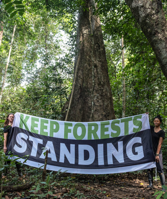 Forestnetworkexception 该丢弃HttpClient 了，这款轻量级HTTP