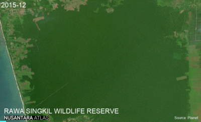 Indonesia’s Largest Palm Oil Traders Confirm RAN’s Evidence of Illegal ...