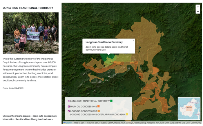 Long Isun Fights for Borneo's Vanishing Rainforests - Rainforest Action ...