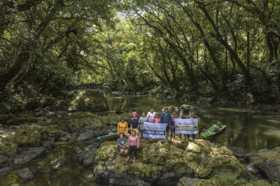 Indigenous Land Stewardship Keeps Forests Standing - The Understory ...