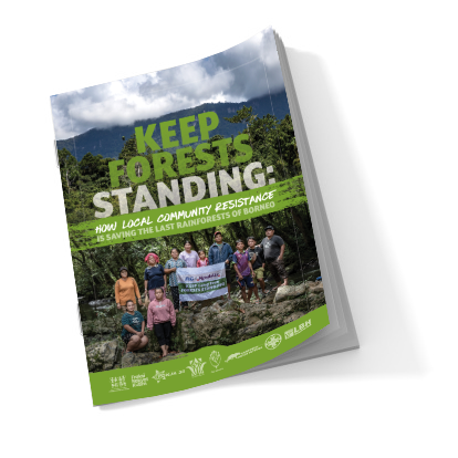 Keep Forests Standing: How Local Community Resistance is Saving the Last Rainforests of Borneo ...