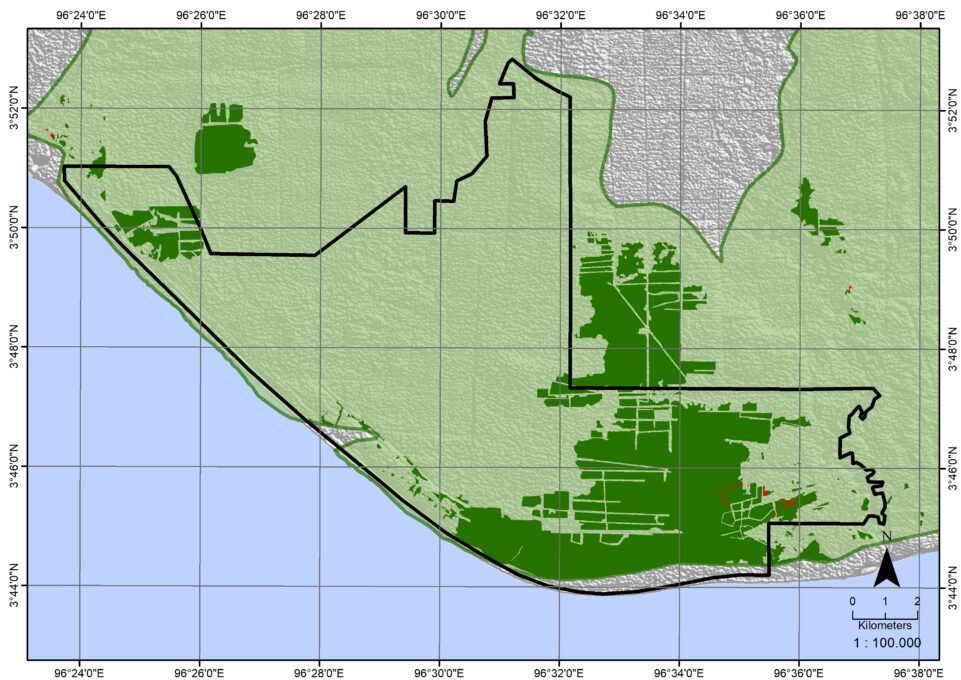 Years After Convictions, Palm Oil Producers Refuse to Pay Fines or ...