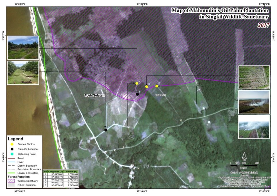 Chinese Food Giant Cofco Exposed for Destruction in Leuser Ecosystem ...