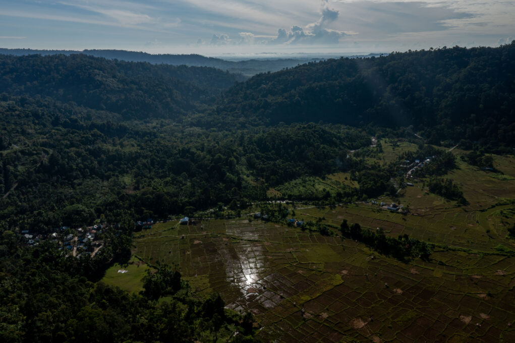 Aceh Communities Set to Receive Government Recognition of Customary ...