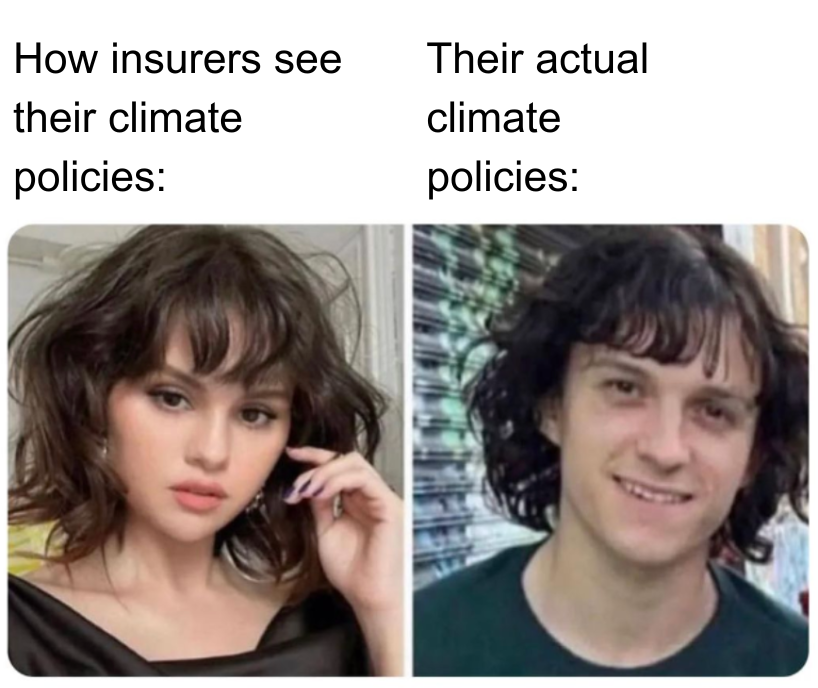 These Insurance Companies are Making the World Uninsurable - The ...