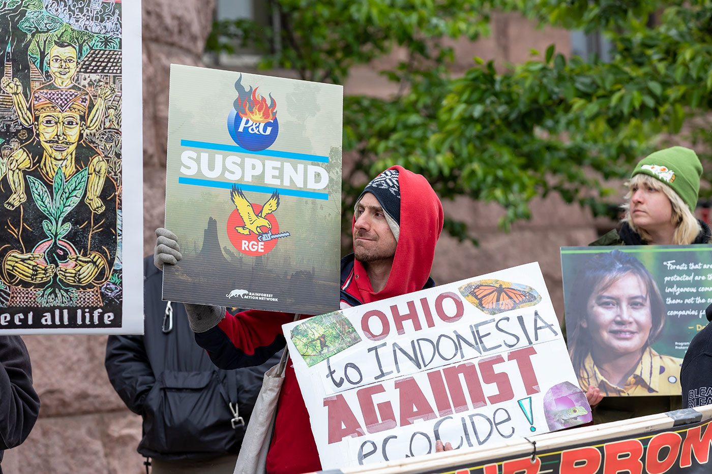 Exposing Royal Golden Eagle Group’s Sprawling Empire of Destruction ...