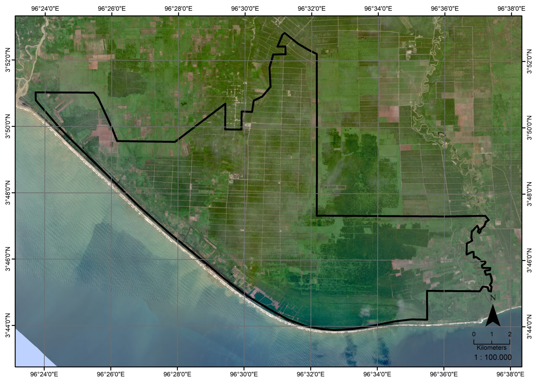 Deforestation Spikes in Leuser Ecosystem’s Iconic Tripa Peatland Region ...