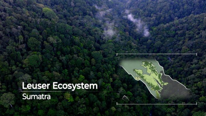 New Global Conservation Standards Applied to World-Renowned Leuser ...