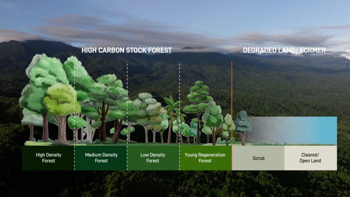 Leuser Watch Posts - Rainforest Action Network