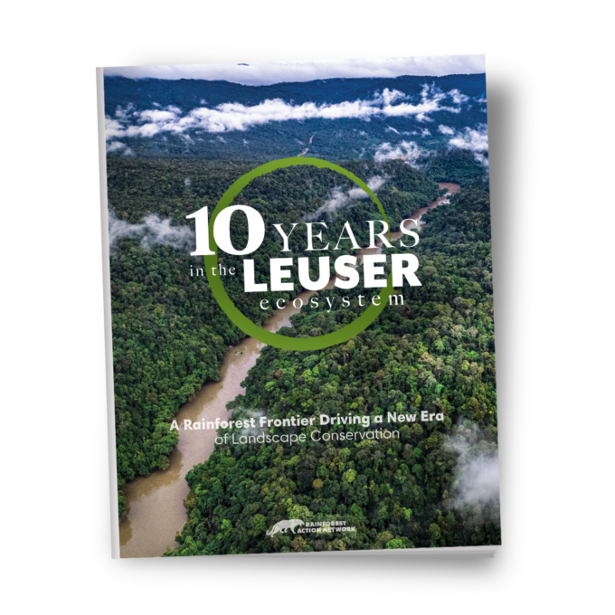 New Report from Rainforest Action Network Highlights the Leuser ...