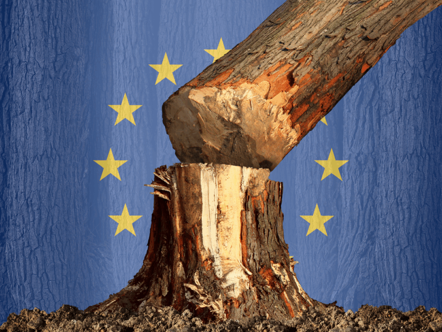 Oreo-maker begs the EU to delay its landmark anti-deforestation law ...