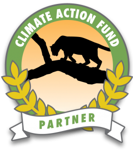 Climate Action Fund: Not another phony carbon offset program - The ...